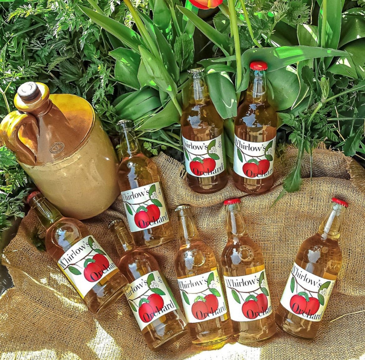 Whirlow Hall Farm Cider | Whirlow Hall Farm Shop